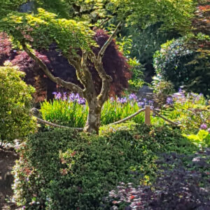 Free Classes | Gresham Japanese Garden