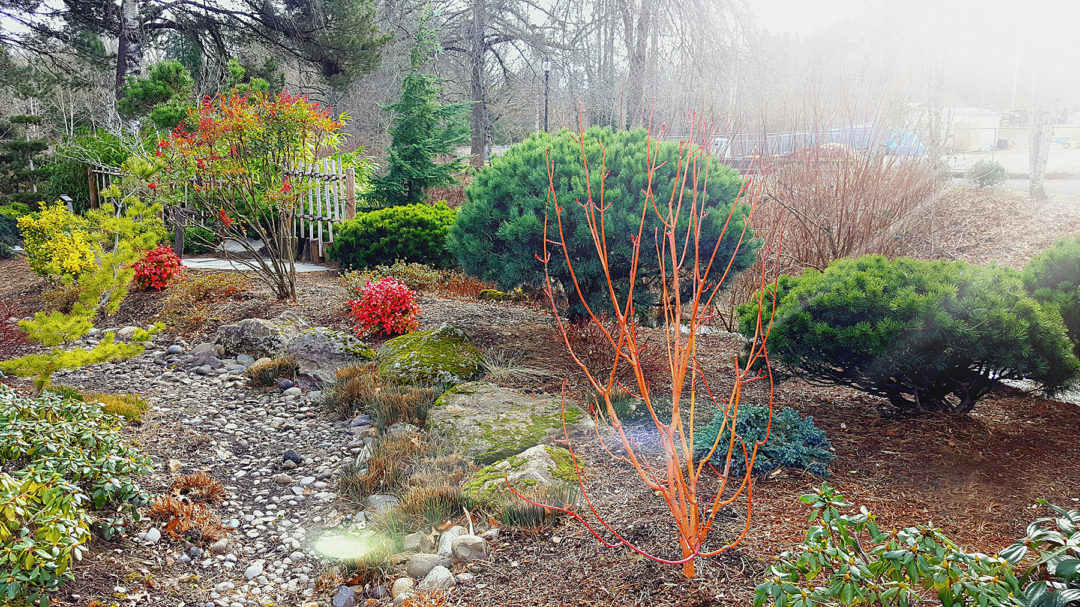 Projects | Gresham Japanese Garden