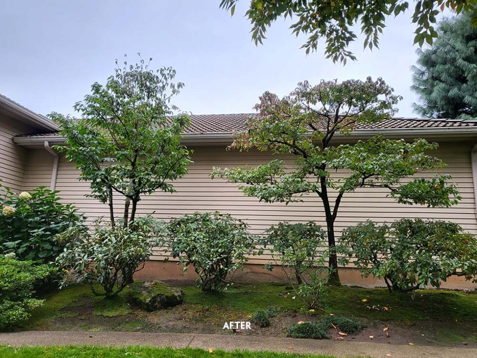 Assessing and Pruning in an Overgrown Landscape – Zoom | Gresham ...