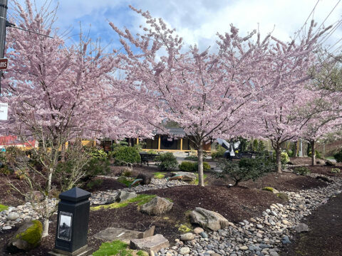 Friday, March 28 | Gresham Japanese Garden